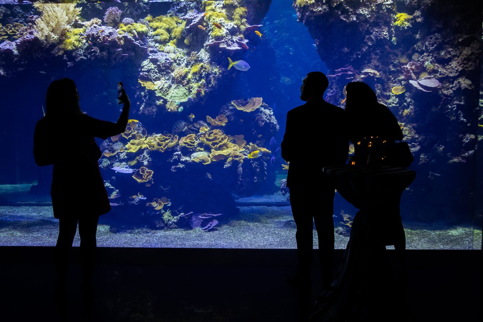 The Summit: Premier Luxury Travel Conference by Forbes Travel Guide